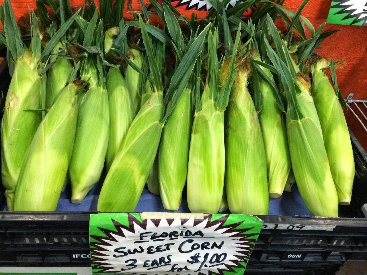 Tampa Bay Farmers Market – “The right way to buy fresh is to buy local.”